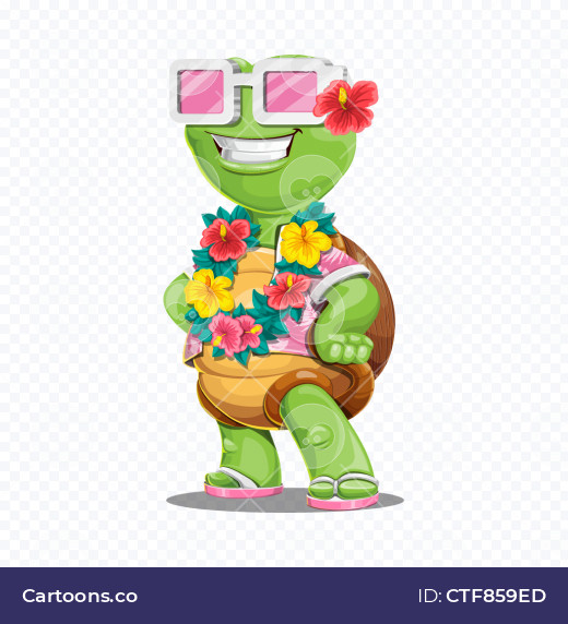 Turtle Clipart PNG Transparent Images - Cartoons.co